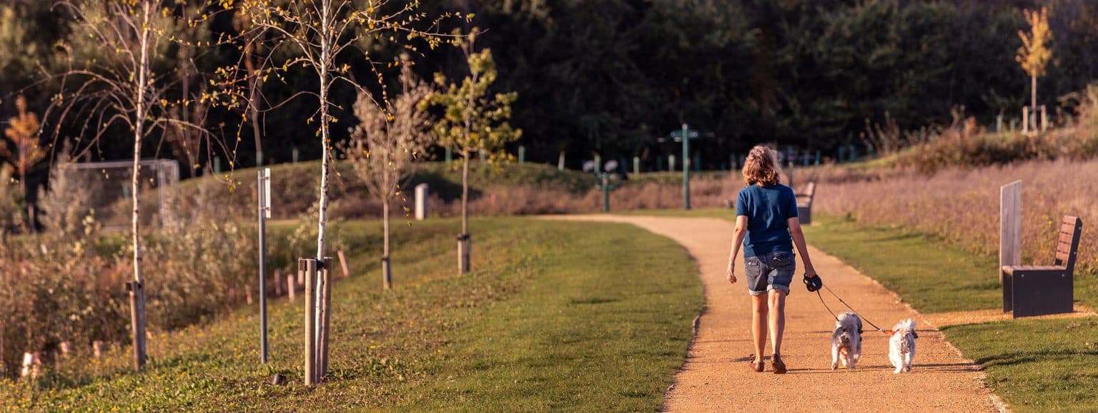 What’s coming next - Wintringham